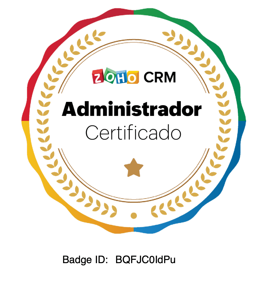 Consultores Zoho en Español - Lideres en implementación Zoho ONE - Partner Avanzado Zoho en ...